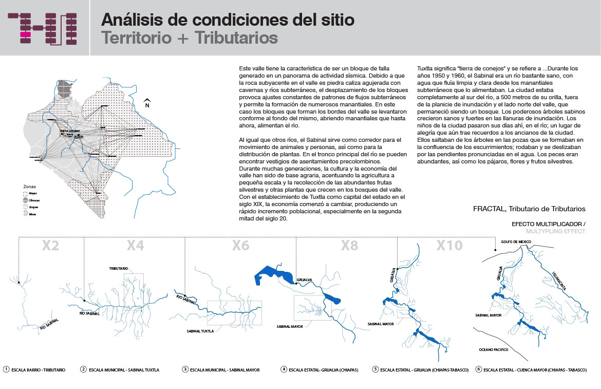Regeneración del Río Sabinal - LHB